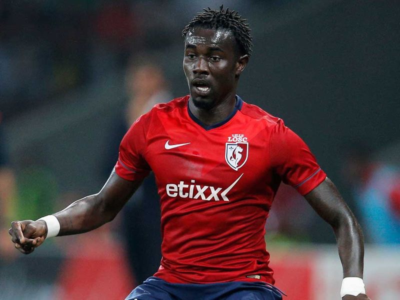 Left back signs | Chicago Addick